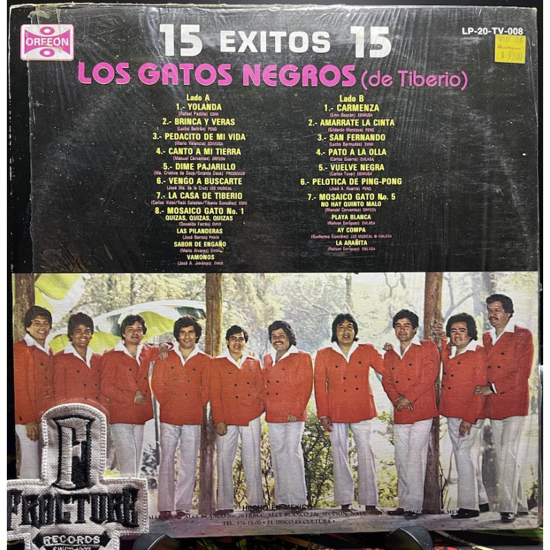 TIBERIO Y SUS GATOS NEGROS – 15 ÉXITOS DE LOS GATOS NEGROS DE TIBERIO GONZÁLEZ VINYL